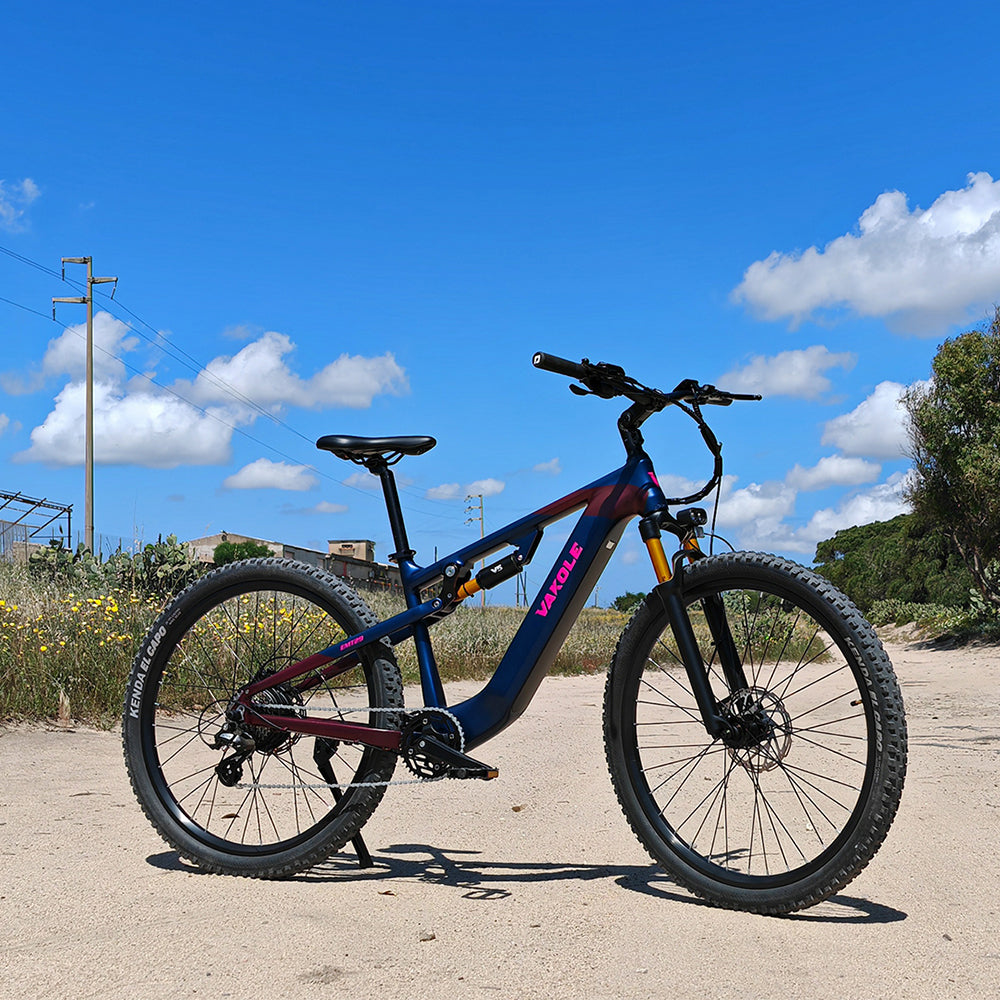 VAKOLE EMT29 Cross-country E-MTB - Vakole® Official Site – Vakole EU